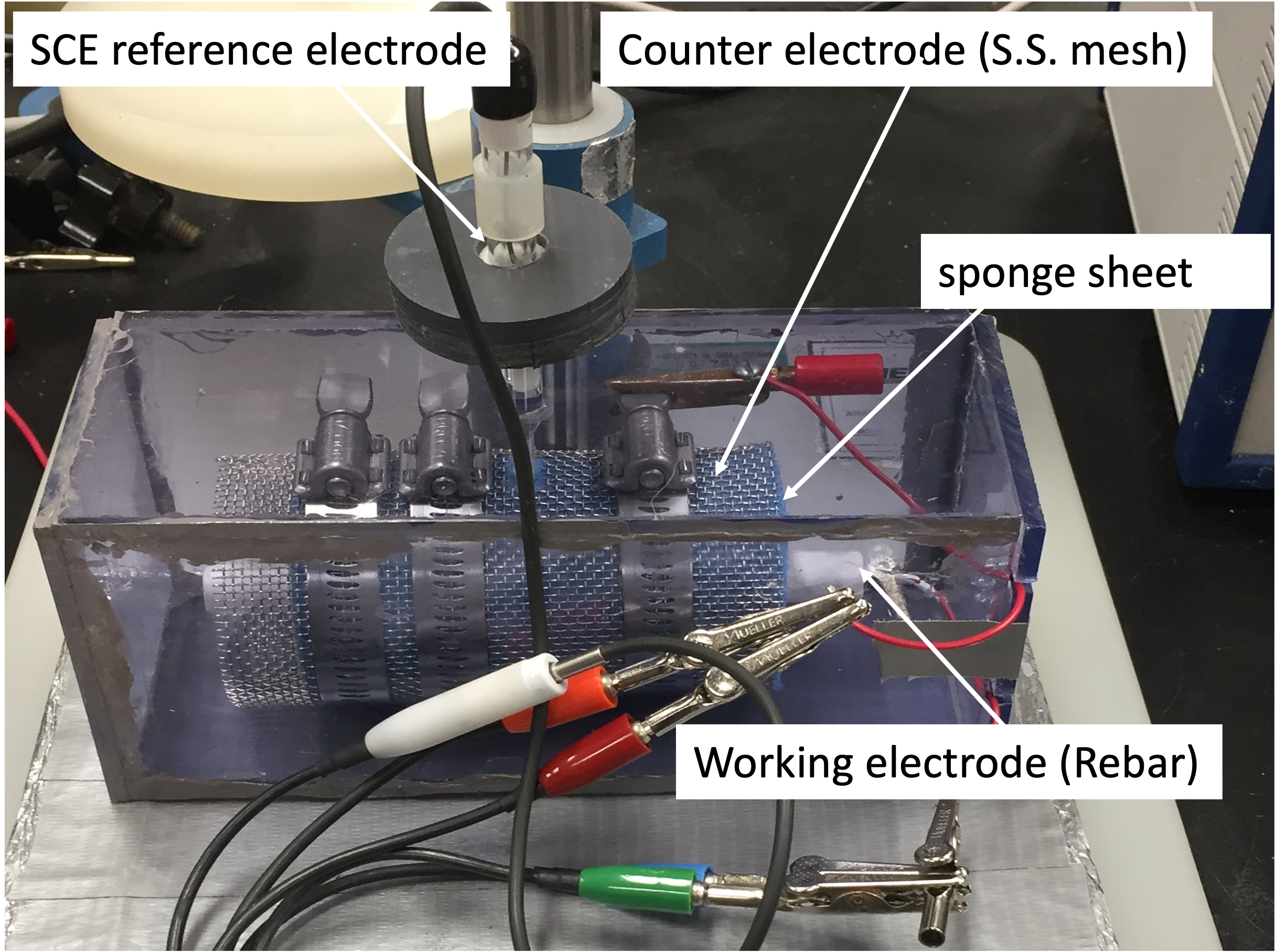 On the corrosion parameters acquired through potentiodynamic scans of ...